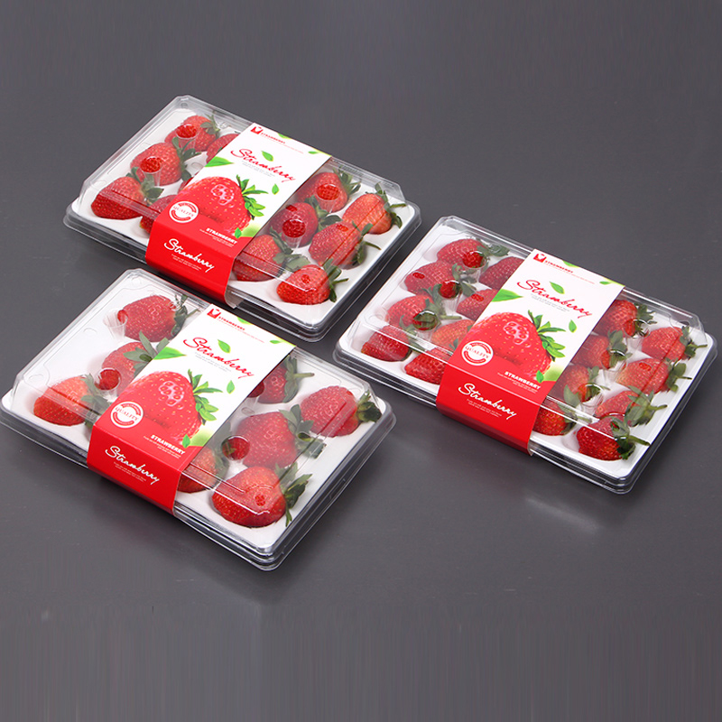 Food packaging - Jiamu Packing Materials